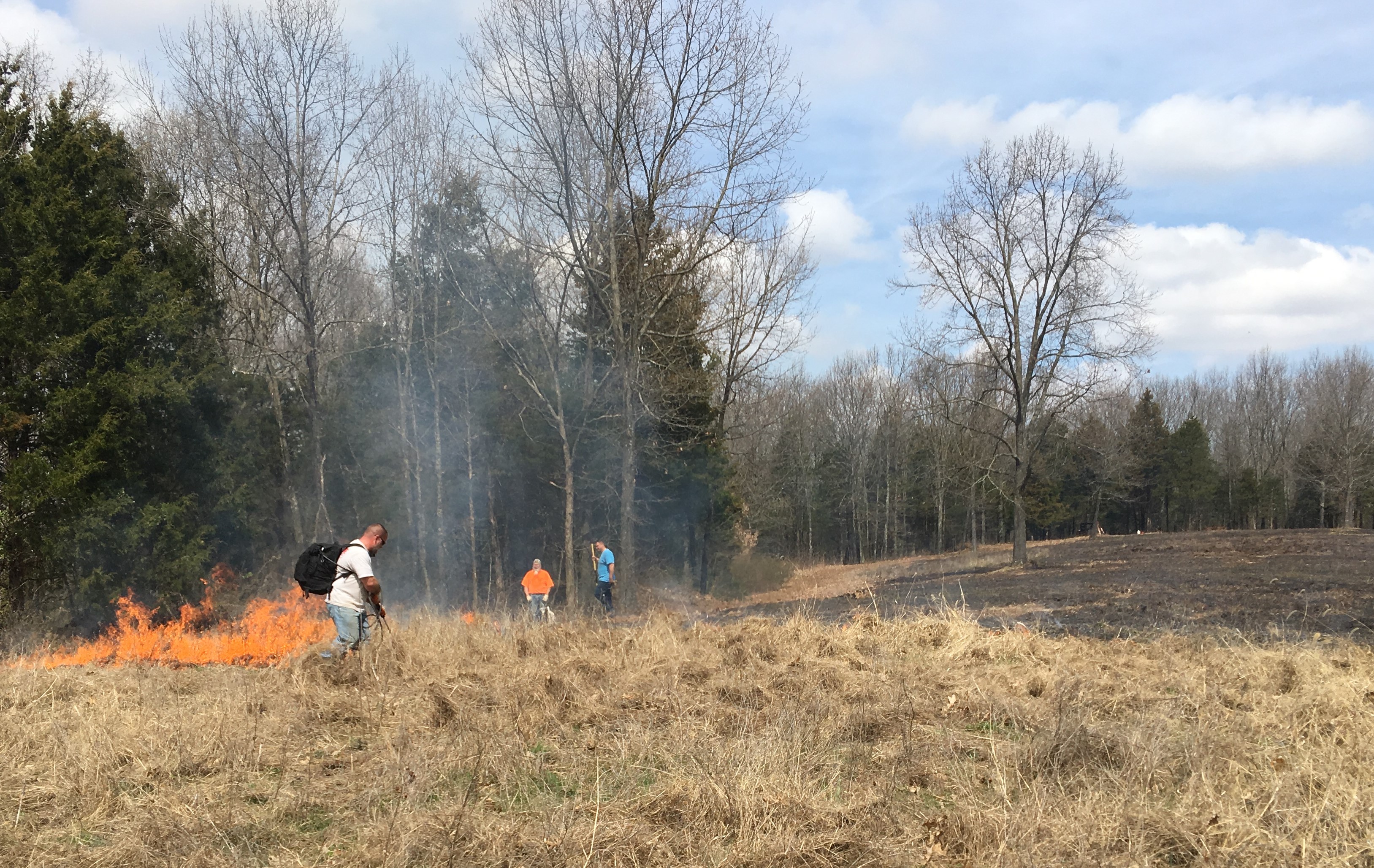 Learn to burn: New local organization helps landowners with prescribed ...