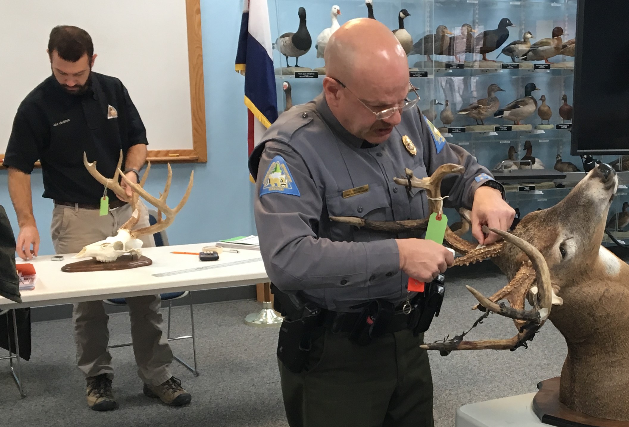 Annual antler measurement event Saturday at Henges Range – Don't Call ...